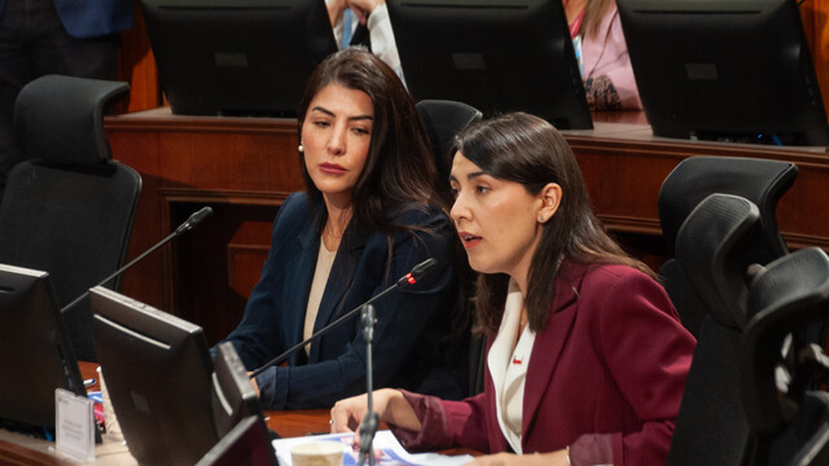 Kast remueve a subsecretaria de la Mujer Daniela Castro tras conflictos ...