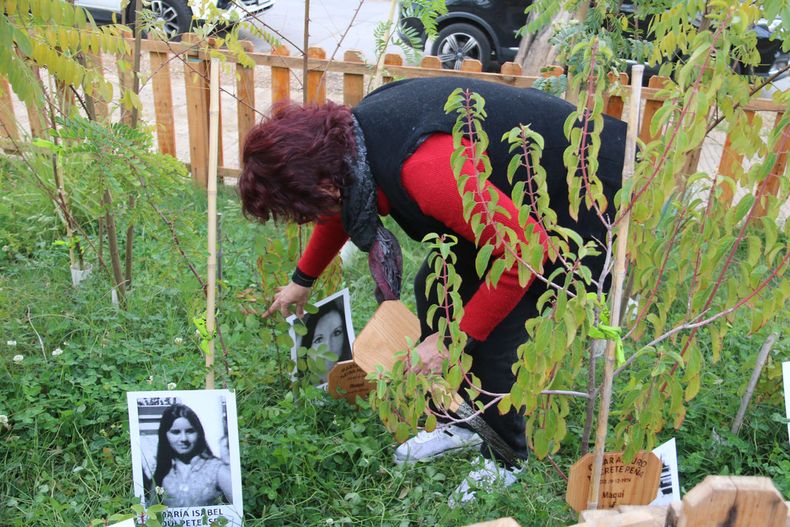 Bosque por la Memoria en Macul enfrenta deterioro: denuncian basura y ...
